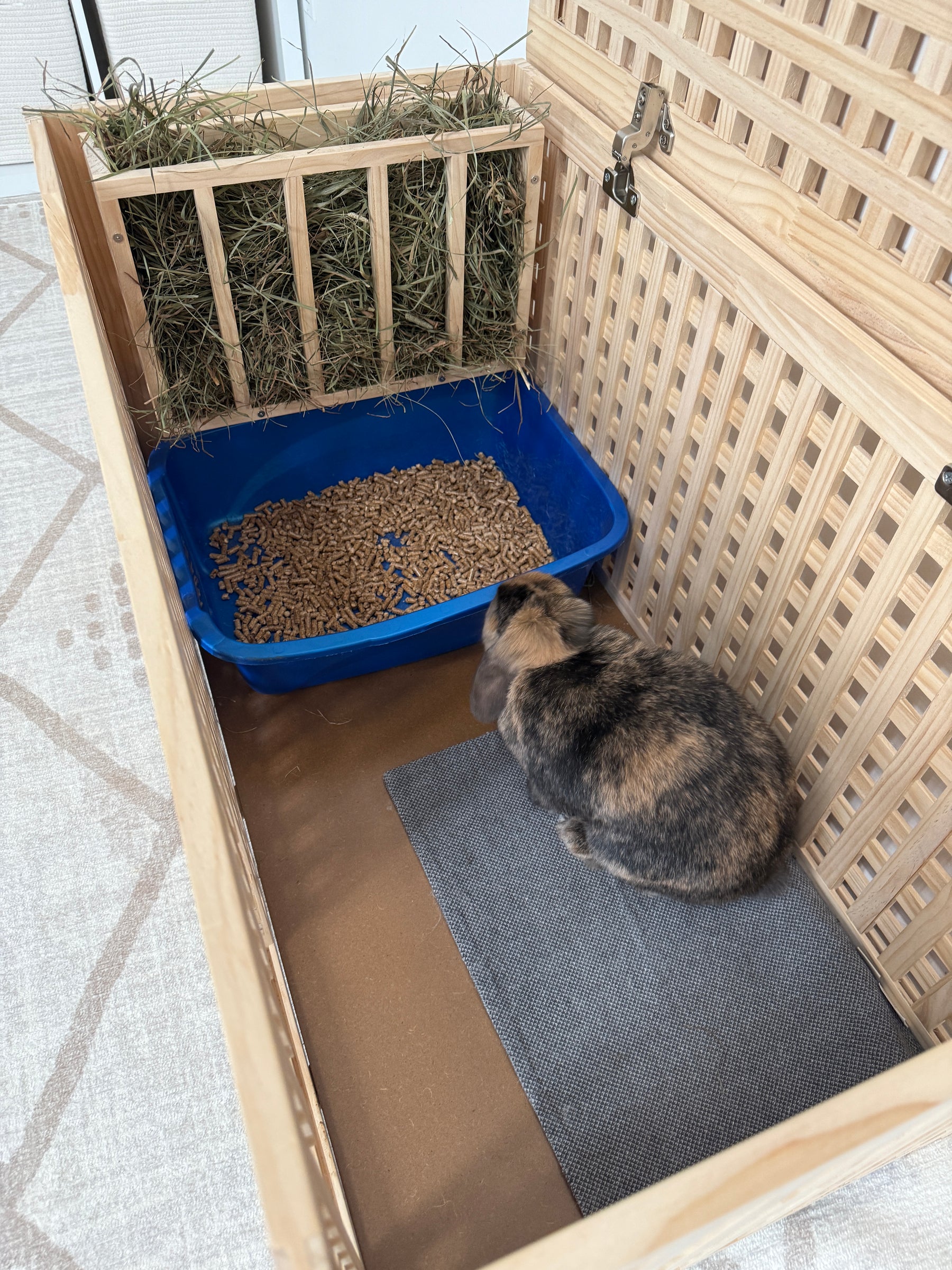 Harley Litter Box Enclosure – Burrows