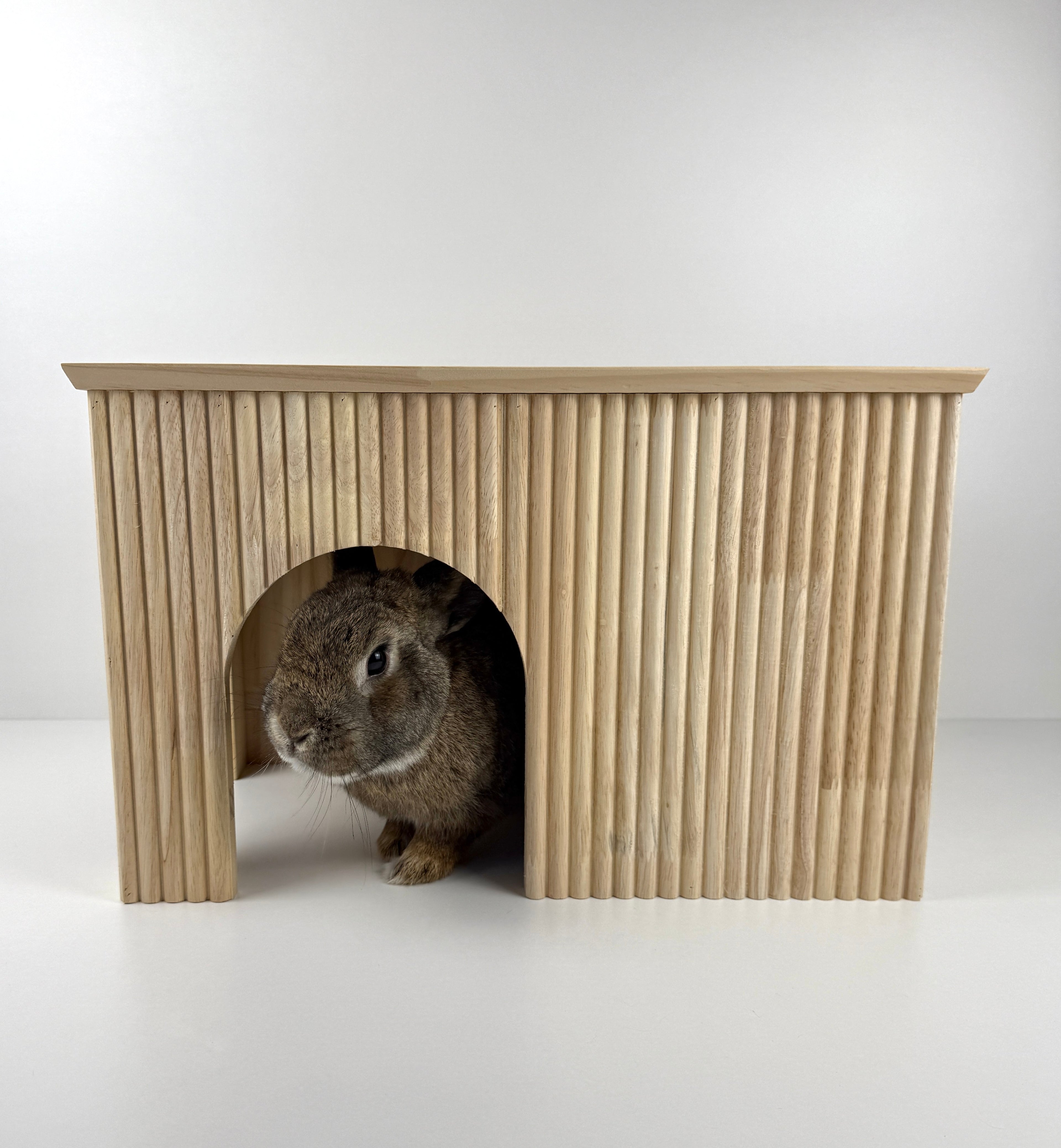 Rabbit Litter Box Enclosure – Burrows